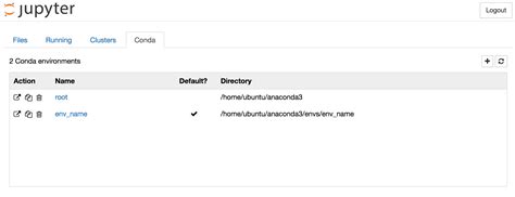 ipython in which conda environment is jupyter executing stack overflow