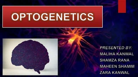 Optogenetics