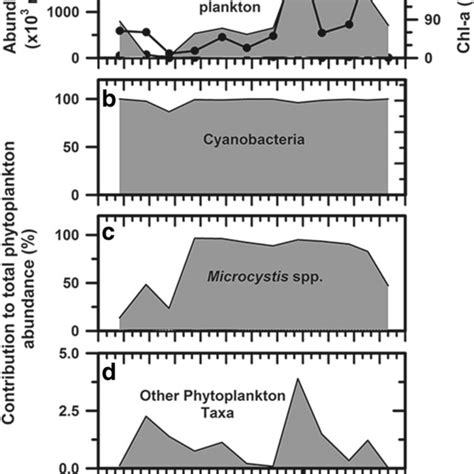 Temporal Variations In Total Phytoplankton Abundance And Chl A A In