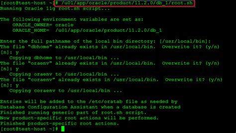 installing oracle database 11g r2 on linux with asm