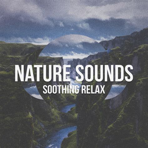 Nature Sounds Soothing Relax Album By Nature Sounds Spotify