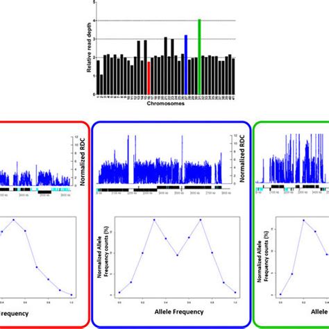 dendrogram of the hierarchical analysis of the t cruzi strains
