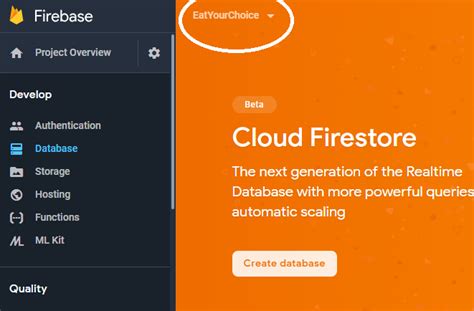 android firebase real time database not showing existing database but