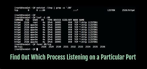 3 ways to find out which process listening on a particular port how