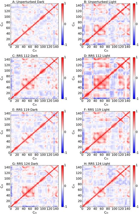 Cross Correlation Matrix Heat Maps For Unperturbed Rrs 112 Glu Rrs