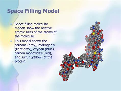 Ppt Predicting 3d Protein Structure Using Homology Modeling