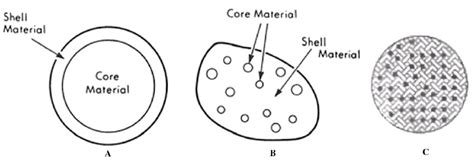 Morphology Of Microcapsules A Mononuclear Or Continuous Core Shell