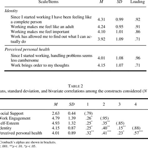 Descriptive Statistics Reliability And Factor Loadings For The