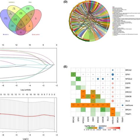 Selection Of Prognostic Args And Construction Of A Risk Model A Venn