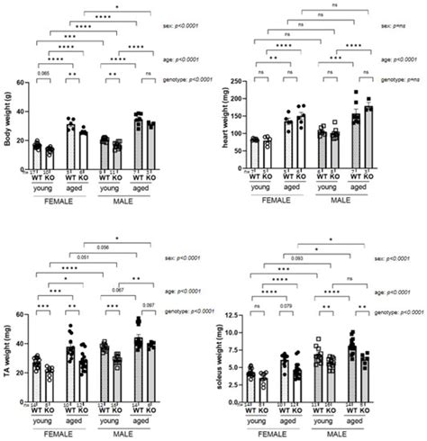 Biomedicines Free Full Text Sex Specific Patterns Of Diaphragm