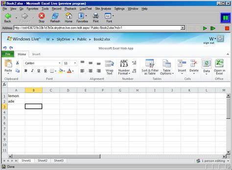 evalid microsoft skydrive excel input data example 3