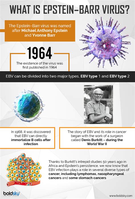 Epstein Barr Virus Symptoms Diagnosis And Treatment