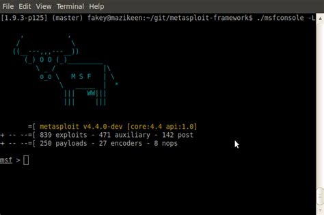 setting up a metasploit development environment neinwechter