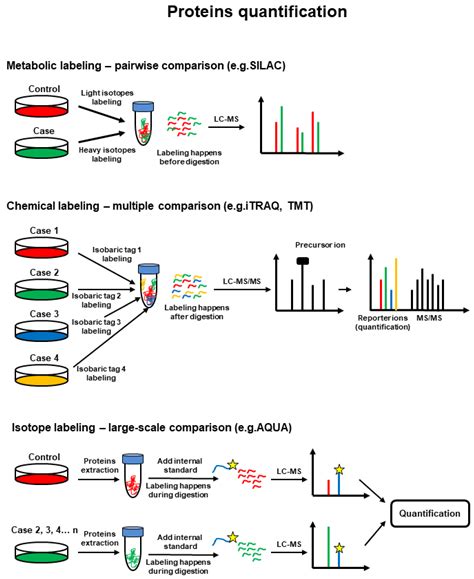 Proteomes Free Full Text Proteomics Based Identification Of