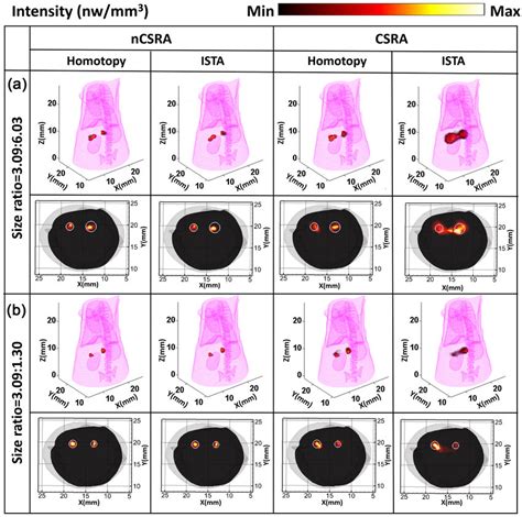 Reconstruction Results In Size Resolution Experiments A B