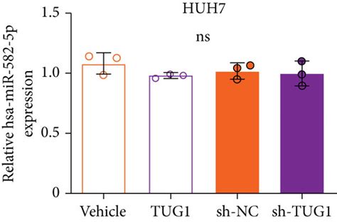 Hsa Mir 582 5p Negatively Regulates Siglec 15 Level And Its Induced