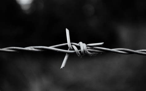 Barbed Wire Wallpapers Top Free Barbed Wire Backgrounds Wallpaperaccess
