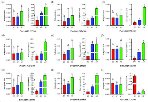 Correlation Between Gene Expression Levels And Dna Methylation In The