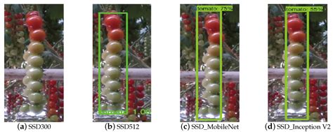 agriculture free full text robust cherry tomatoes detection