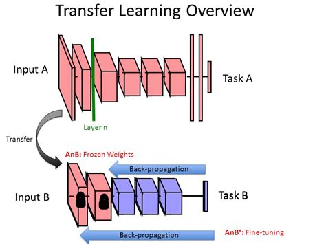transfer learning slides