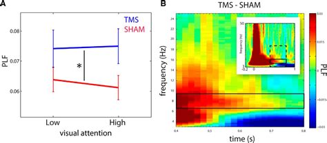 Attention Modulates Tms Locked Alpha Oscillations In The Visual Cortex