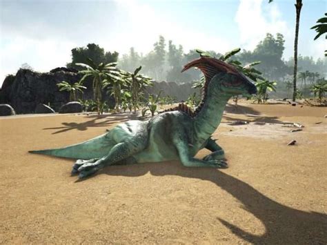 Ark Survival Evolved Guide For Beginners Maps Dinos Cooking