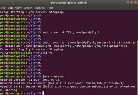 helpme error starting blynk server stopping issues and errors
