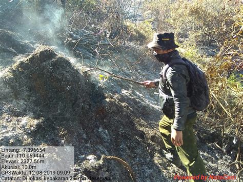 Tim Gabungan Terus Sisir Kawasan Gunung Sumbing Yang Terbakar Kedai Pena