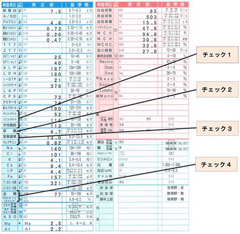 血液からわかる健康状態①（院長コラム）｜いなば内科クリニック