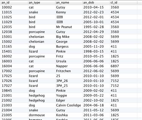 mysql grouping in a select statement stack overflow