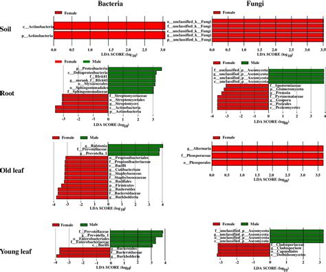 The Identification Of Biomarker Taxa Affected By Sex Through Linear