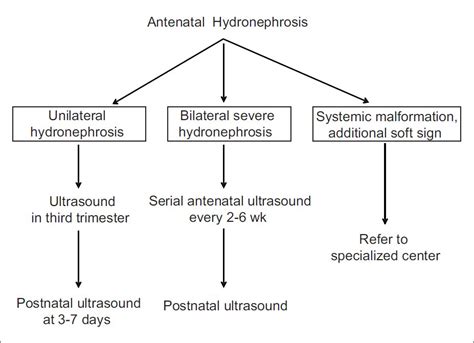 Revised Guidelines On Management Of Antenatal Hydronephrosis Indian