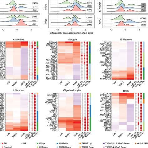 Snrna Seq Distinguishes Major Cell Types Using 67 Human Brains A