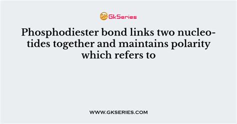 Phosphodiester Bond Links Two Nucleotides Together And Maintains