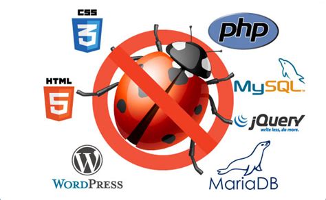 fix your wordpress php html jquery css database bugs by allen