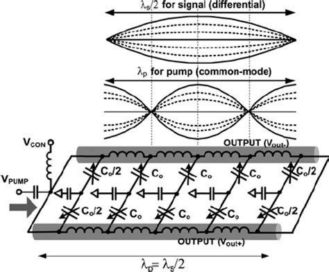 Reflective Distributed Parametric Oscillator And Its Standing Wave