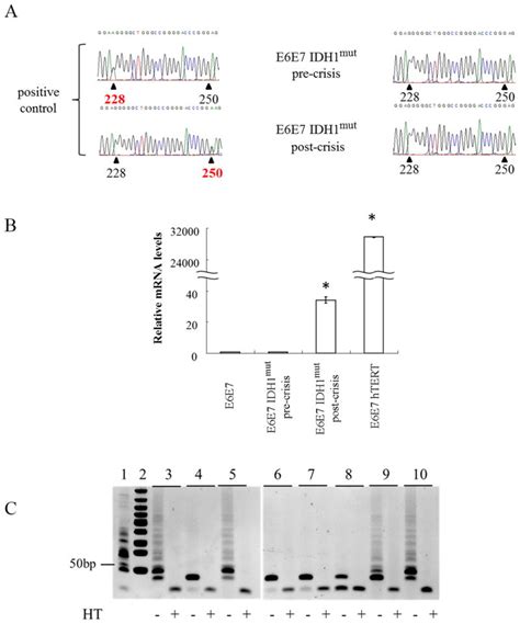 Mutant Idh1 Expression Drives Tert Promoter Reactivation As Part Of The