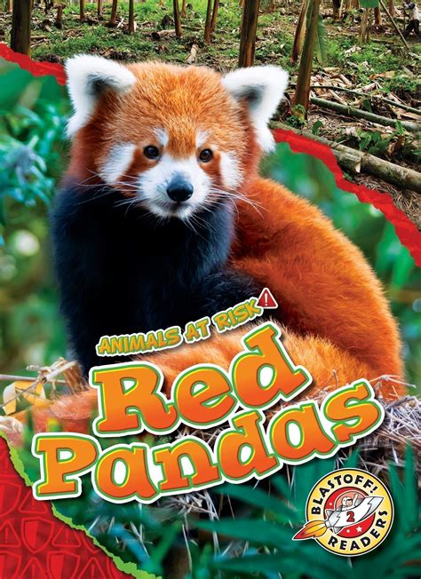 Book Farm Llc Nonfiction Books Red Pandas 24