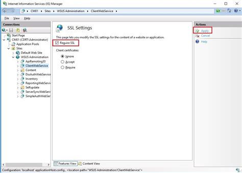 how to configure iis to use ssl connections on your wsus server