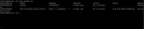 how to configure dns proxy for docker containers