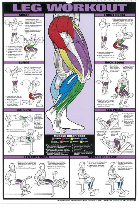 Pin On Fitness