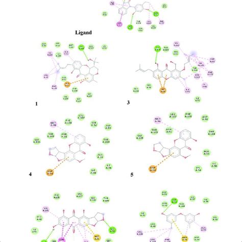 Proposed Binding Mode Of The Ligand Ez6 And Isolated Compounds 1