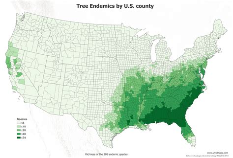 The Diversity Of Trees In The Us Mapped Vivid Maps