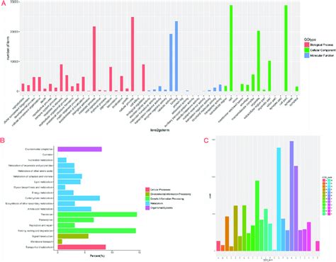 Go Cog And Kegg Pathway Classifications Of The R Obtusum