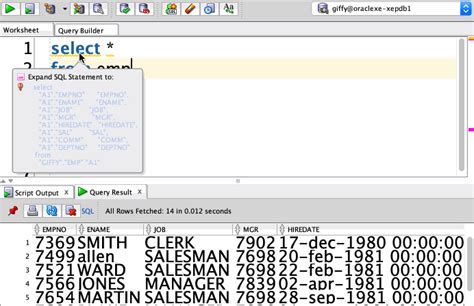 how to run a simple query in oracle sql developer the