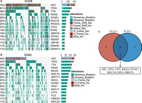 Landscapes Of Frequently Mutated Genes Fmgs In Crc A B Oncoplot