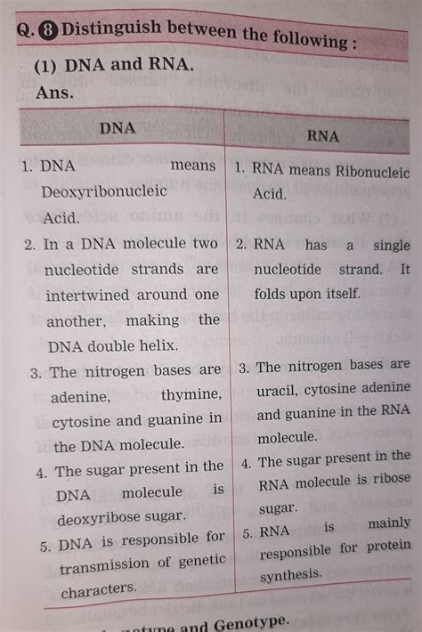 Difference Between Dna And Rna