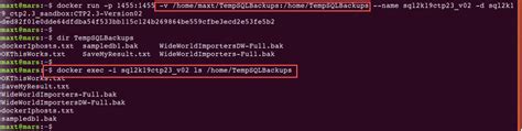 powershell core working with persistent disk storage in