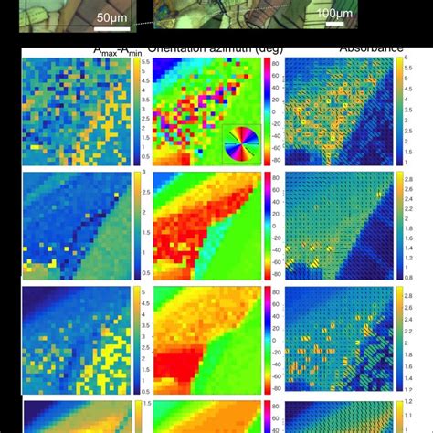 Absorbance Spectral Mapping For Amplitude And Orientation For Several