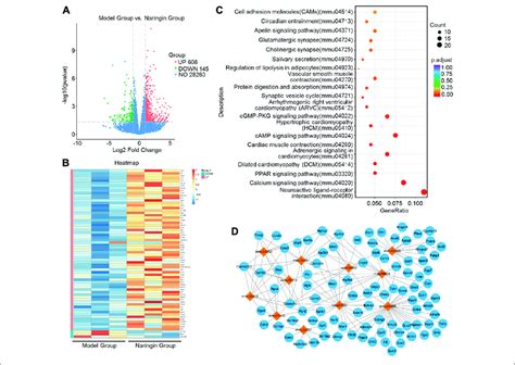 High Throughput Transcriptome Sequencing And Kegg Pathway Enrichment